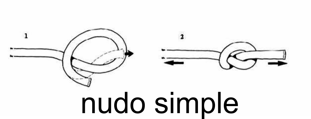 Pionerismo Scout / Técnica: NUDOS BÁSICOS I