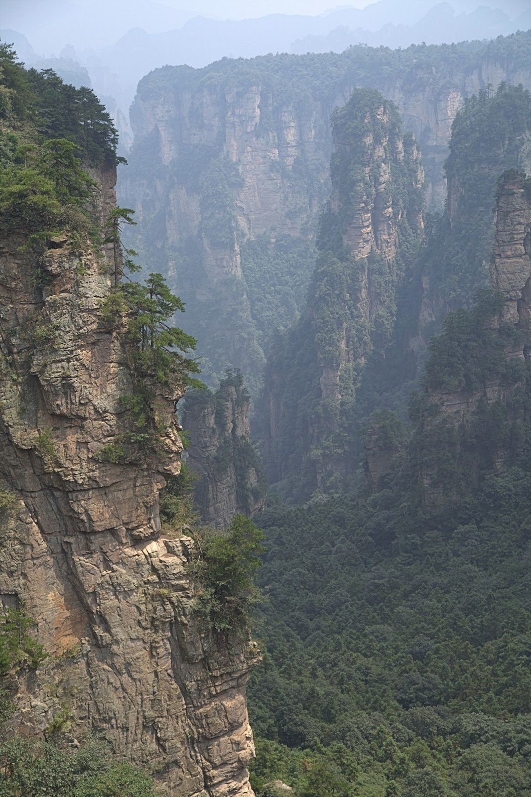 Łowcy Obrazów: Góry z Avatara
