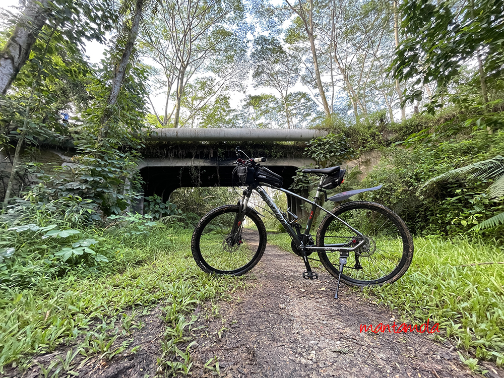 manta blog: Kranji Rail Corridor