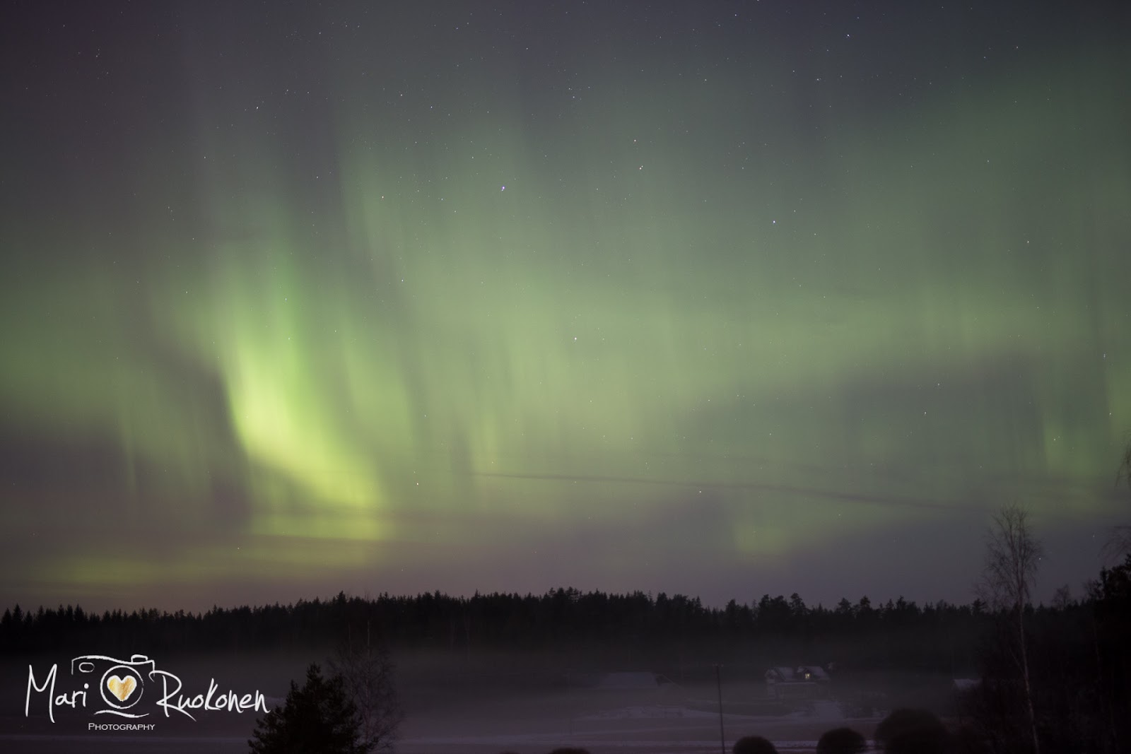 House No 465: Revontulet