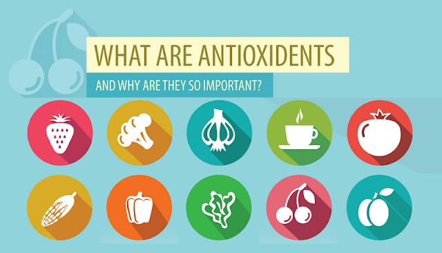What Are Antioxidents And Why Are They So Important? [Infographic ...