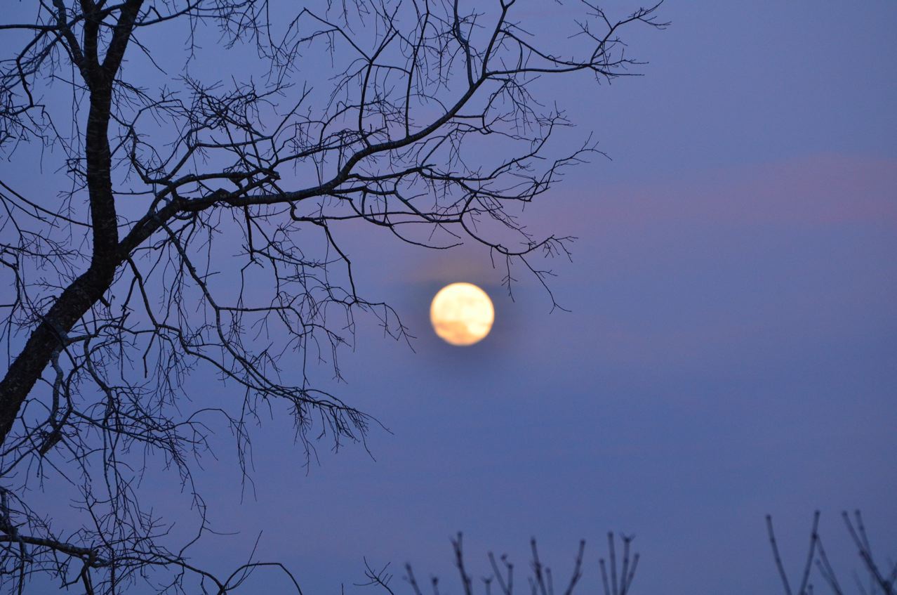 Flower Hill Farm: December Sky Delights Swallowing Moon and Sun