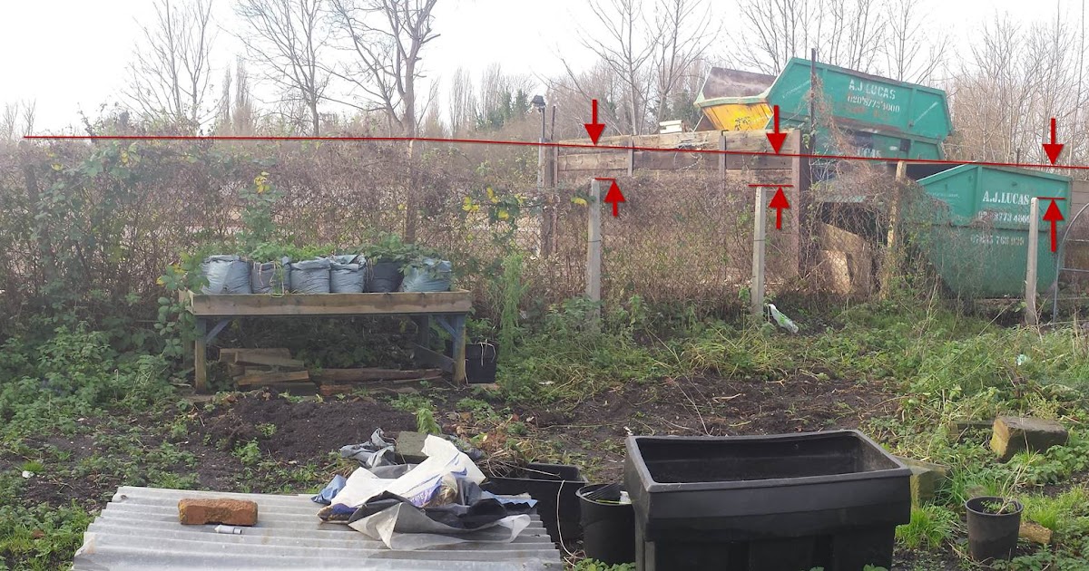 Alans Allotment: Short Fence Posts