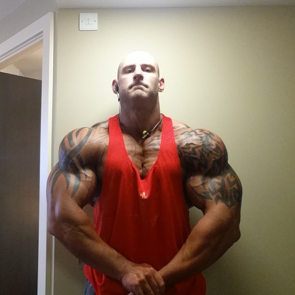 Muscle Lover: February muscle mix 2018