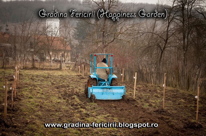 Ce trebuie să știm despre cloșcă și clocit? DPnet