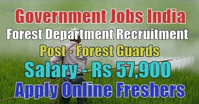 Forest Department Recruitment 2020 for 320 Forest Guards Apply Online ...