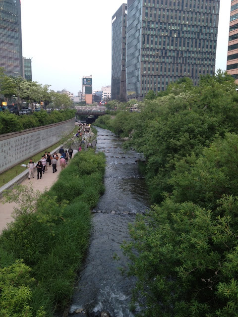 Local Ecologist: Before & After Green: Seoul's Cheonggyecheon Stream