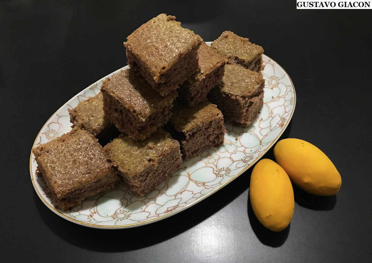 Viveiro Ciprest - Plantas Nativas e Exóticas: Oiti ( Licania tomentosa )