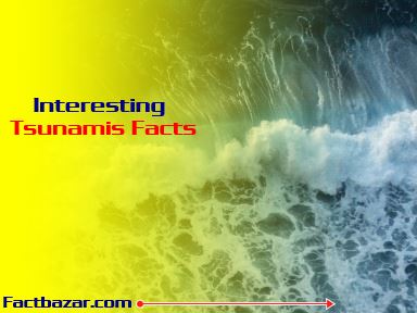 Interesting Facts About Tsunamis That You Probably Don't Know.