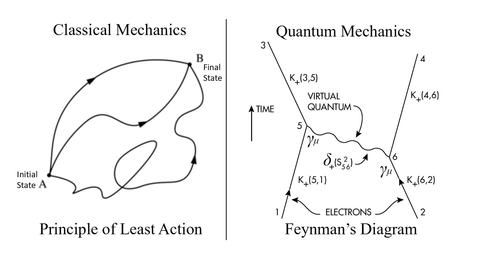 FEYNMAN'S PATH INTEGRAL FORMULATION AND THE PRINCIPLE OF LEAST ACTION
