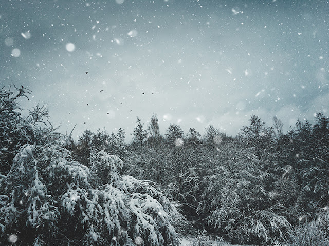 How to add snow to photos & a free falling snow overlay