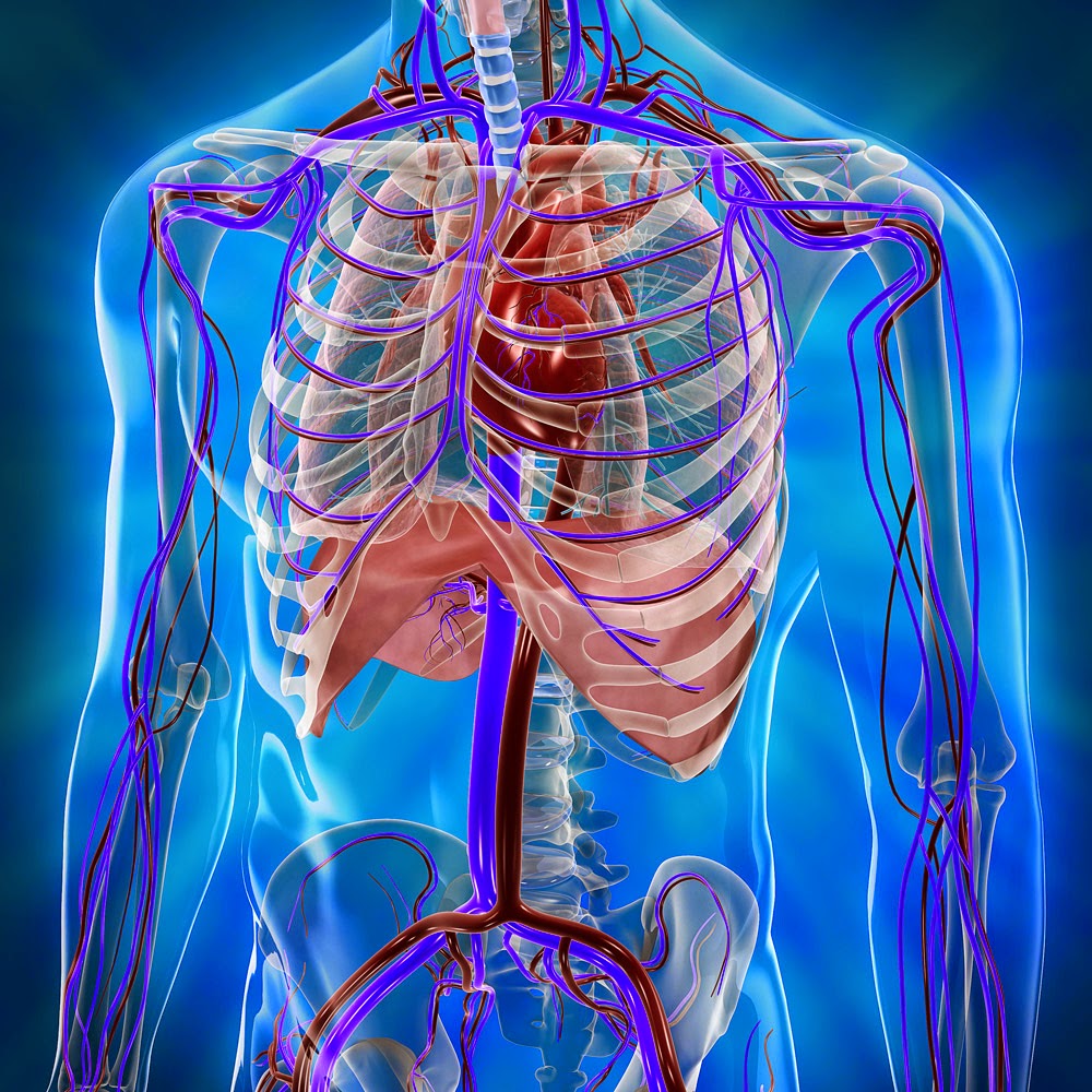 02/2015 დათოს ბლოგი