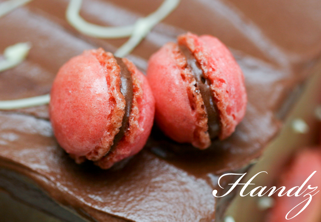 HANDZ by Patz: And finally...Macarons!!