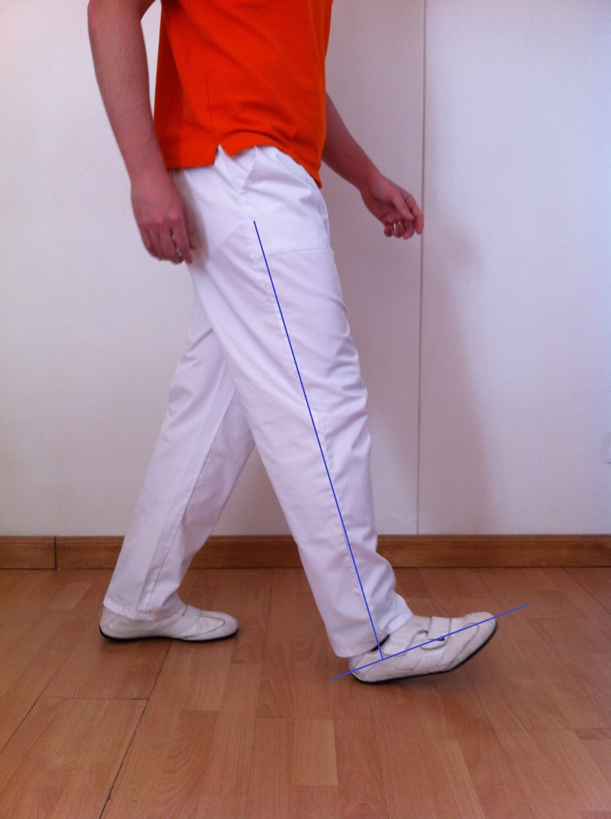 Víctor Ortega FISIOTERAPEUTA: FASES DE LA MARCHA