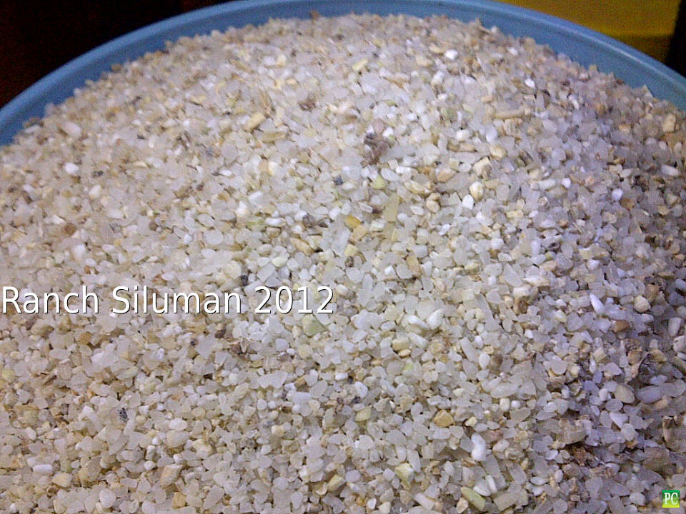 R.S.T POULTRY ONLINE SHOP : MENIR BERAS