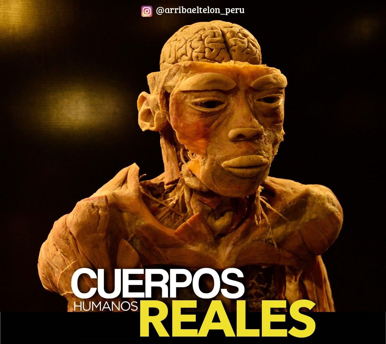 CUERPOS HUMANOS REALES: IMPRESIONANTE EXPOSICIÓN LLEGA A TRUJILLO