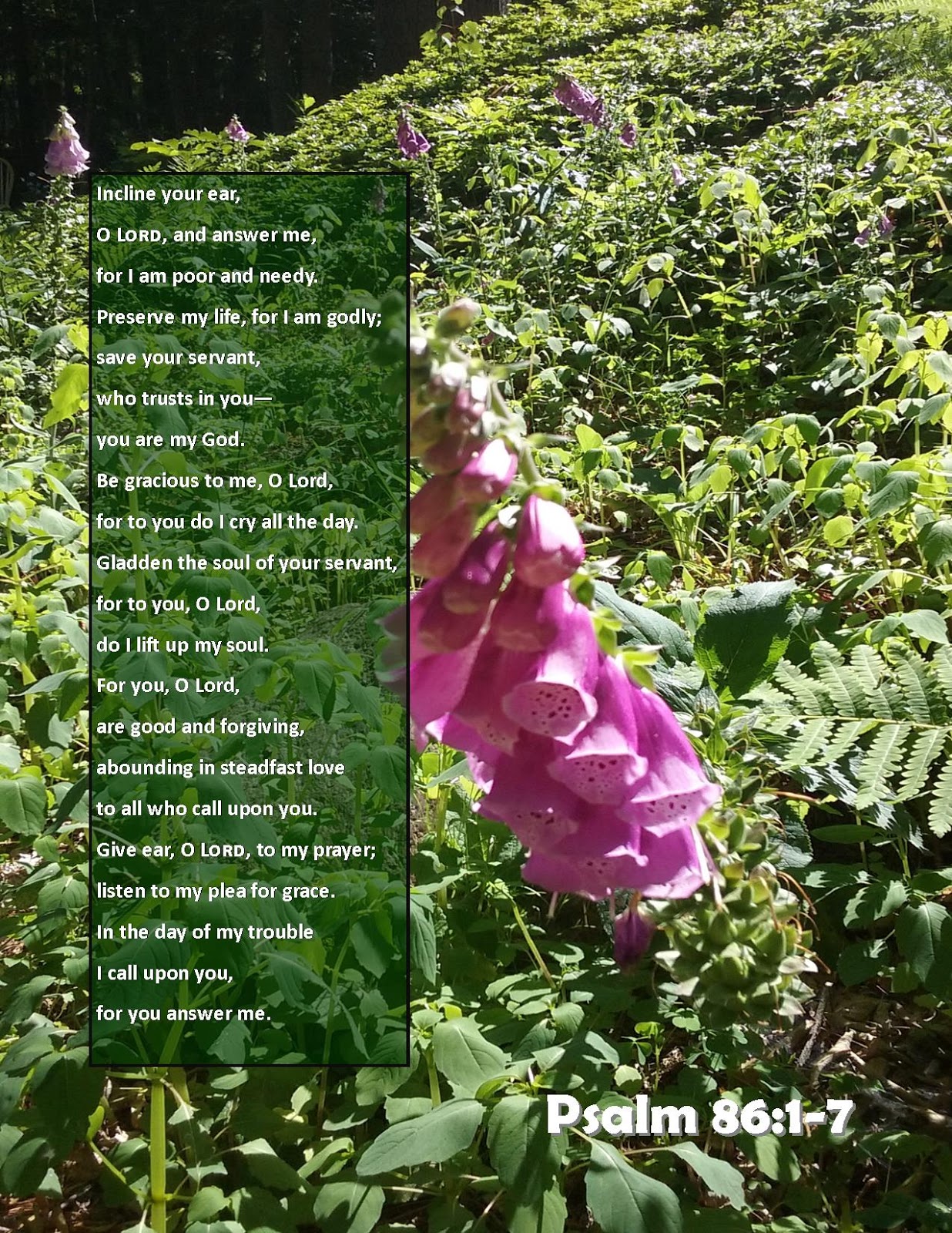 Scarlet Robe Scripture Verses Psalm 86 1 7 scarlet-robe-scripture-verses-psalm-86-1-7