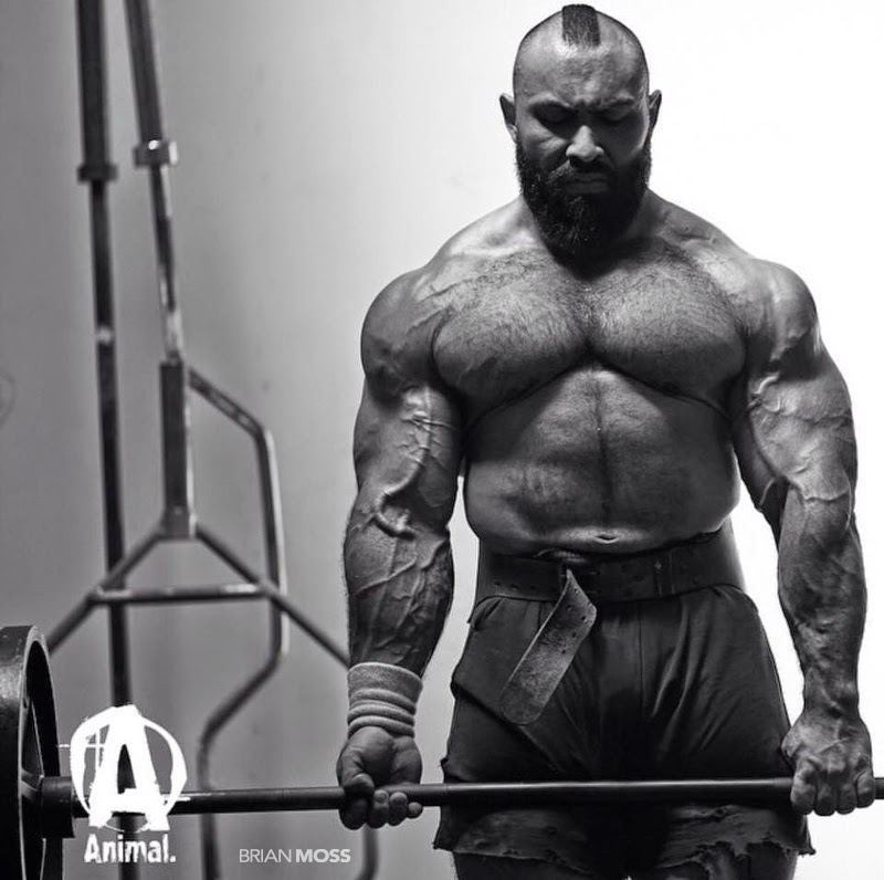 Worldwide Bodybuilders: Korean-American god Jason Huh