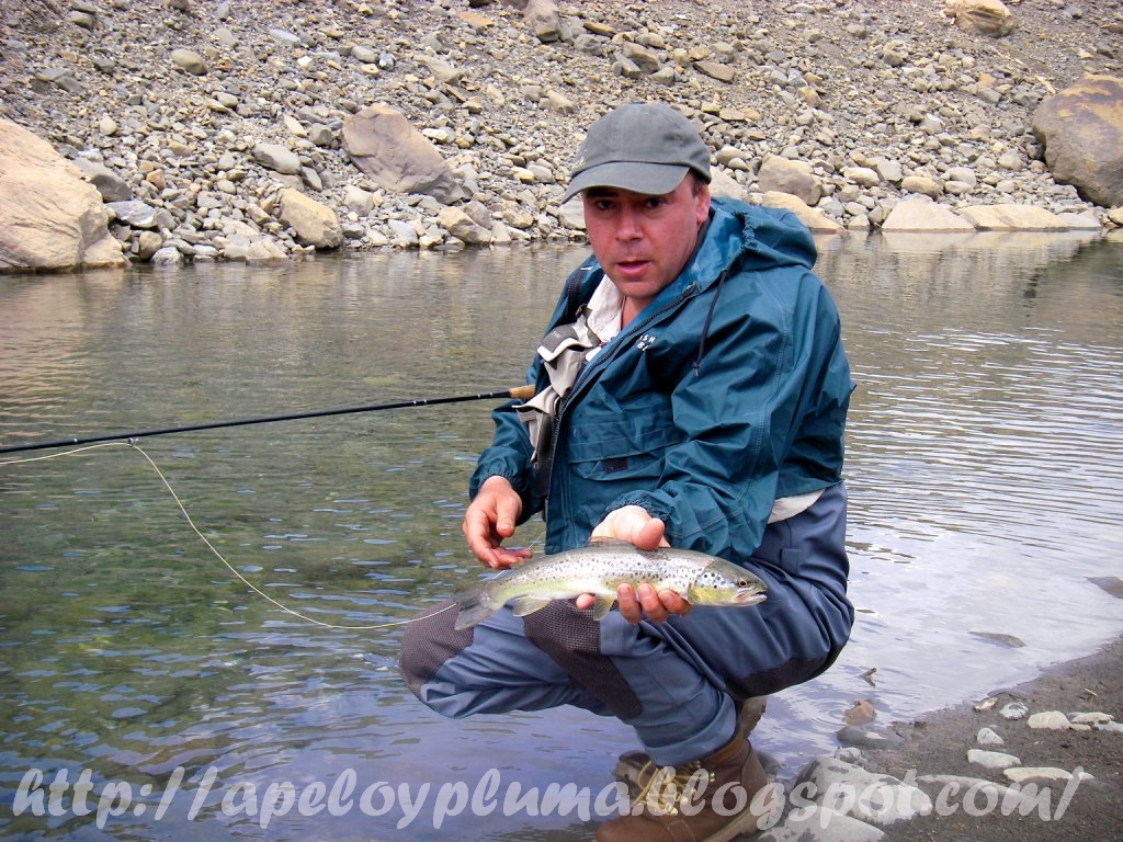 A pelo y pluma-- Flyfishing blog: Pesca en Lago (III). Tácticas.