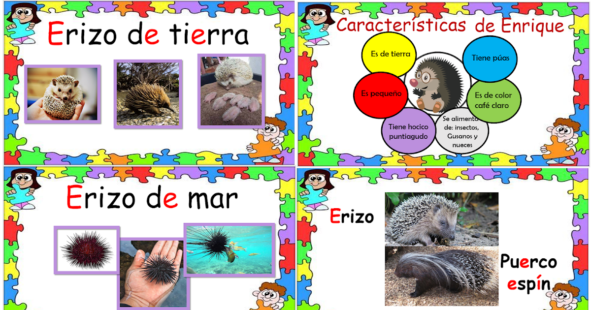 MI EXPERIENCIA DIDÁCTICA EN EL AULA: LOS ERIZOS