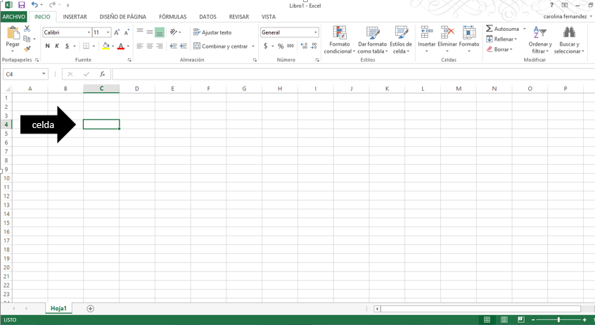 EXCEL BASICO: MANEJO Y ASPECTO DE CELDAS