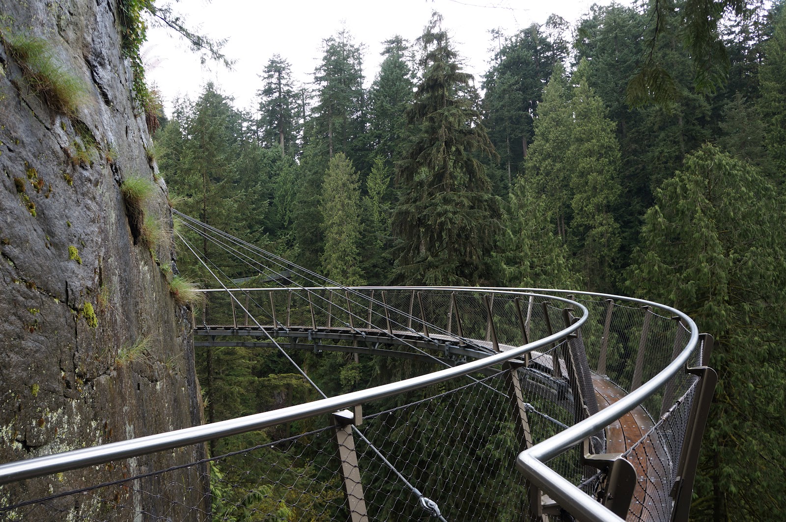 Out Last Night: Capilano Suspension Bridge and Cliff Walk, North ...