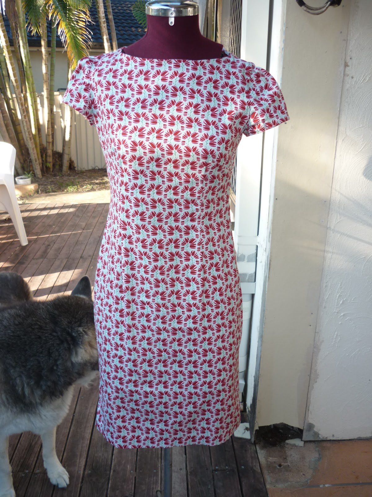 Sewelle: New Look 6000!!!