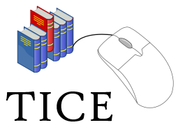 Documentaliste, au service de la formation: Que sont les TICE