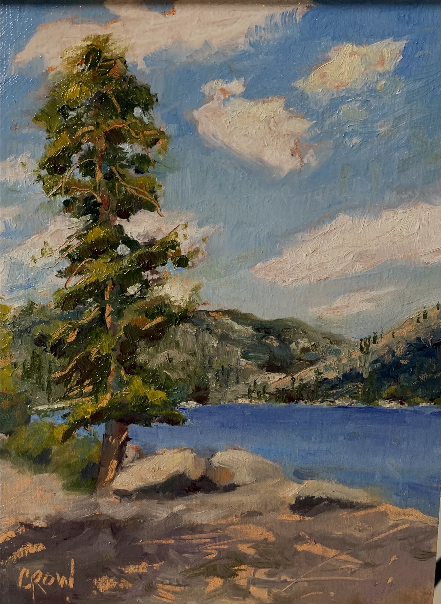 Debi Crow-Sousa Art: Oils