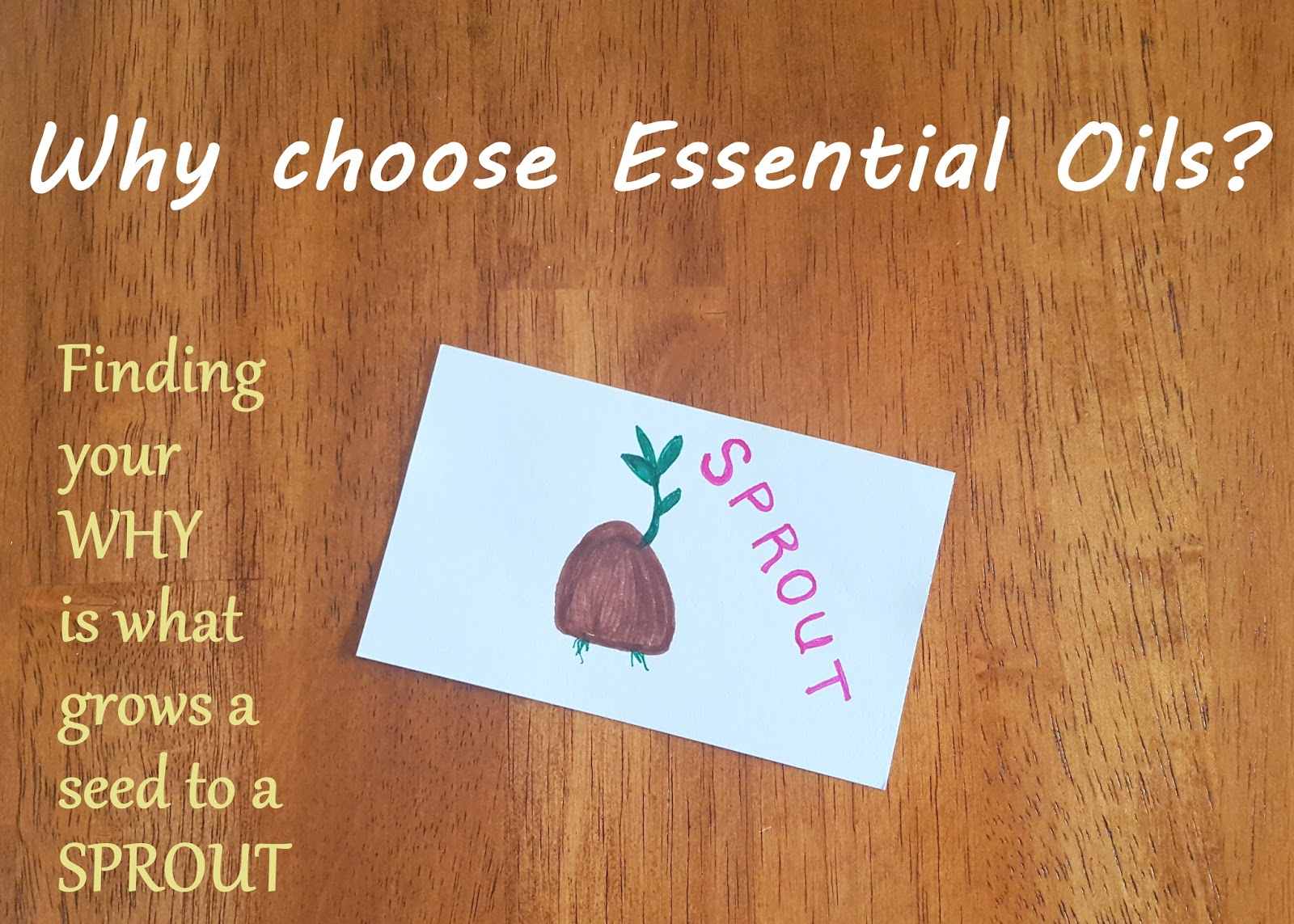 Welcome to GraceFull Day: 2nd - WHY I Ditched Chemicals and Choose ...