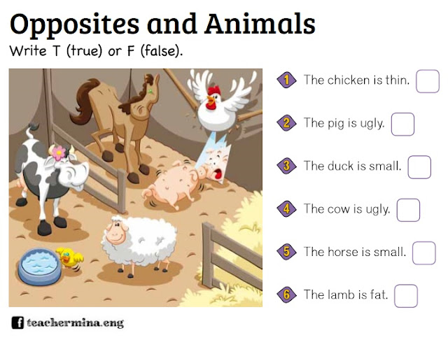 Teachermina: [activity] opposites and animals