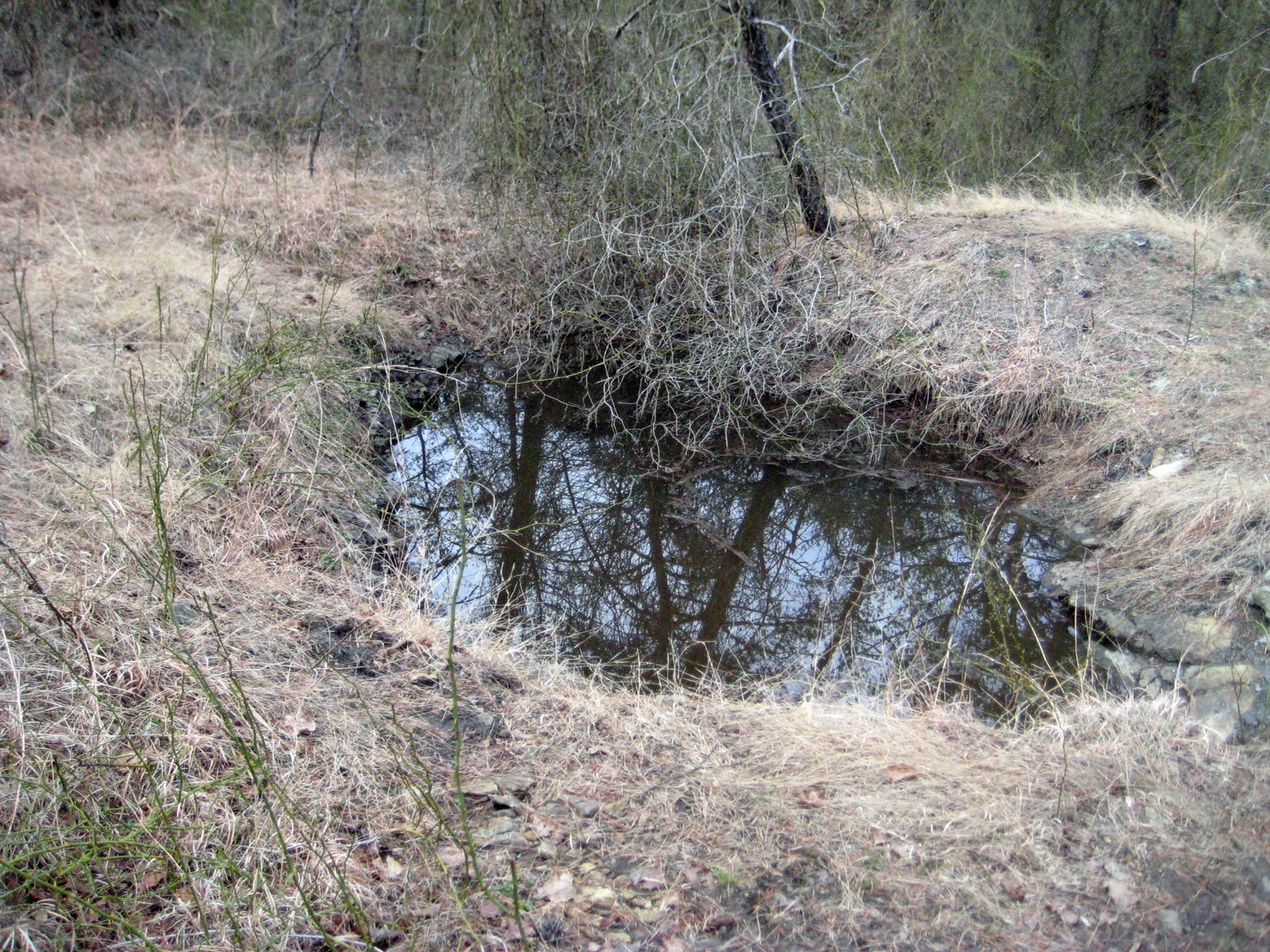 Mineral Bliss: A Mineralogical Hike near Baltimore, Maryland