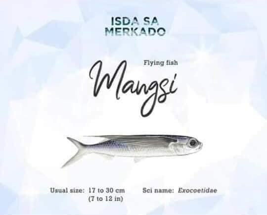 Ibat-Ibang Klase ng Isda at Iba Pang Laman-Tubig na Karaniwang Mabibili ...