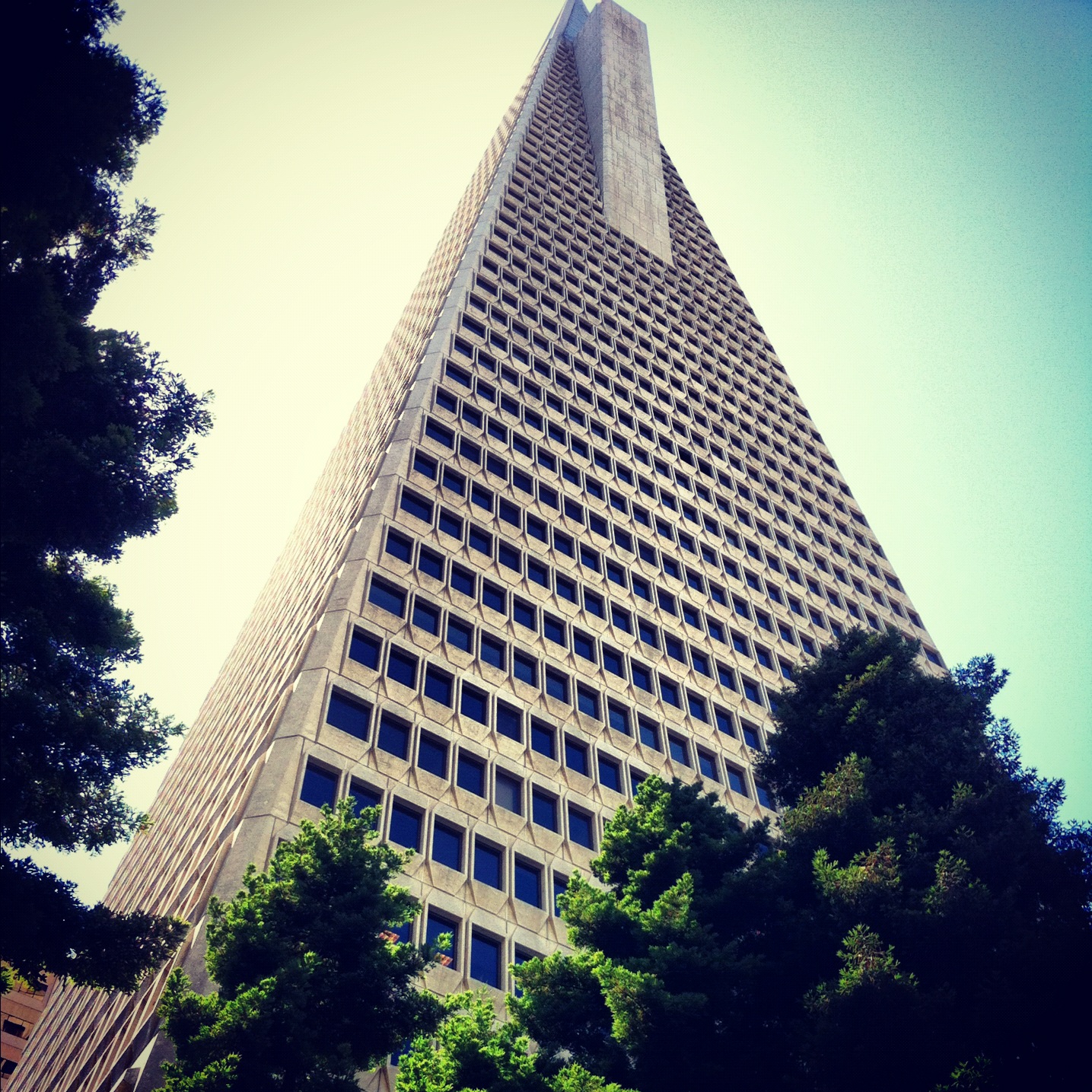 O b s e r v e & R e p o r t: City Excursion: Transamerica Pyramid Center