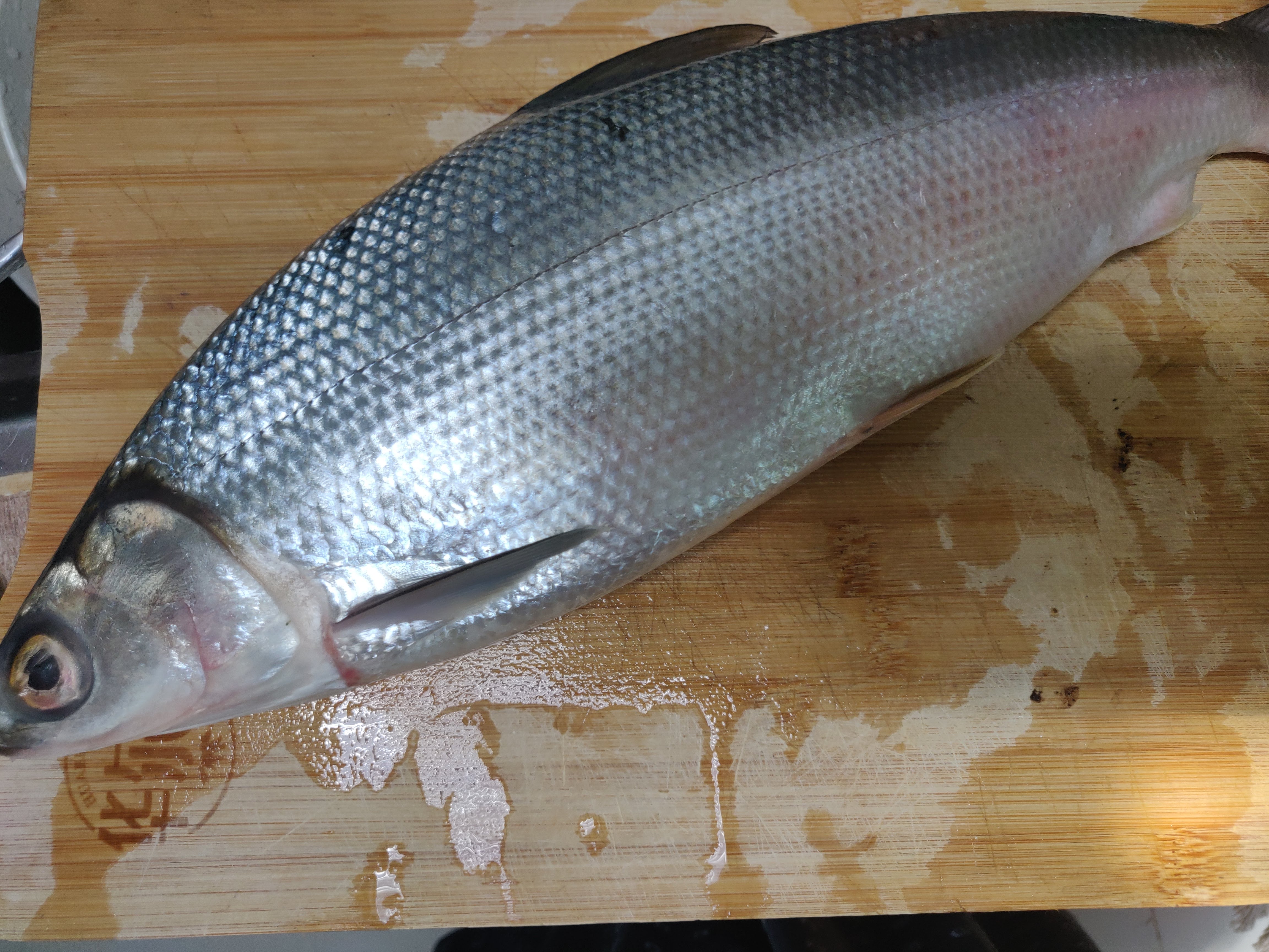 Kegemaran keluarga kami - Ikan Susu Bakar - BLOG CIK ASTER : TUDUNG ...