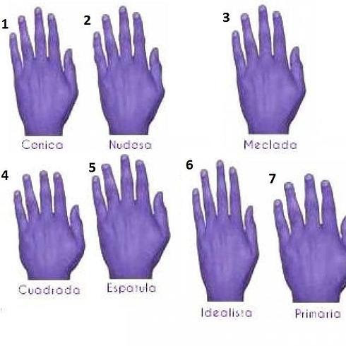 TIPOS DE MANOS