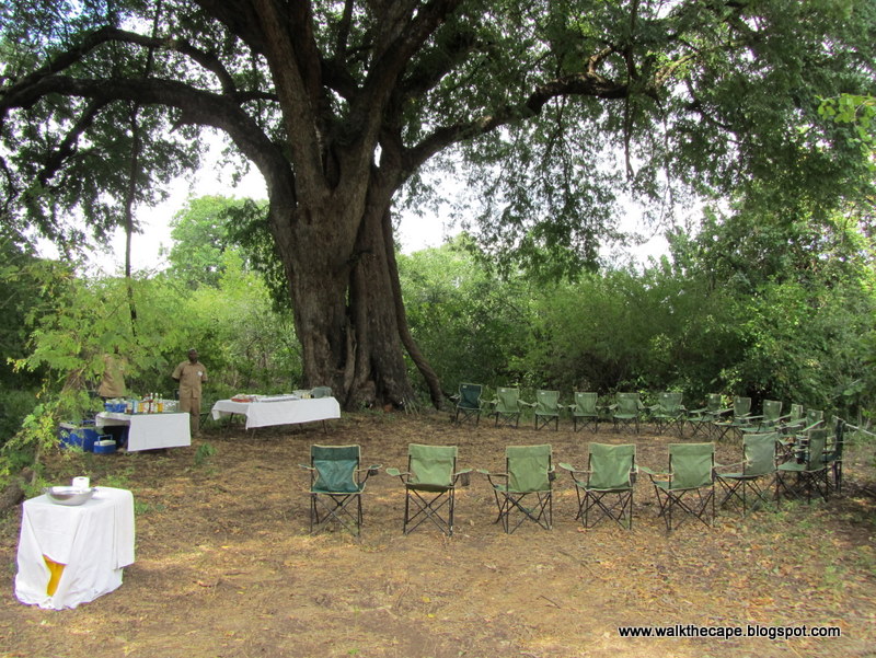 Walking the Cape: Lower Zambezi: Chongwe Falls