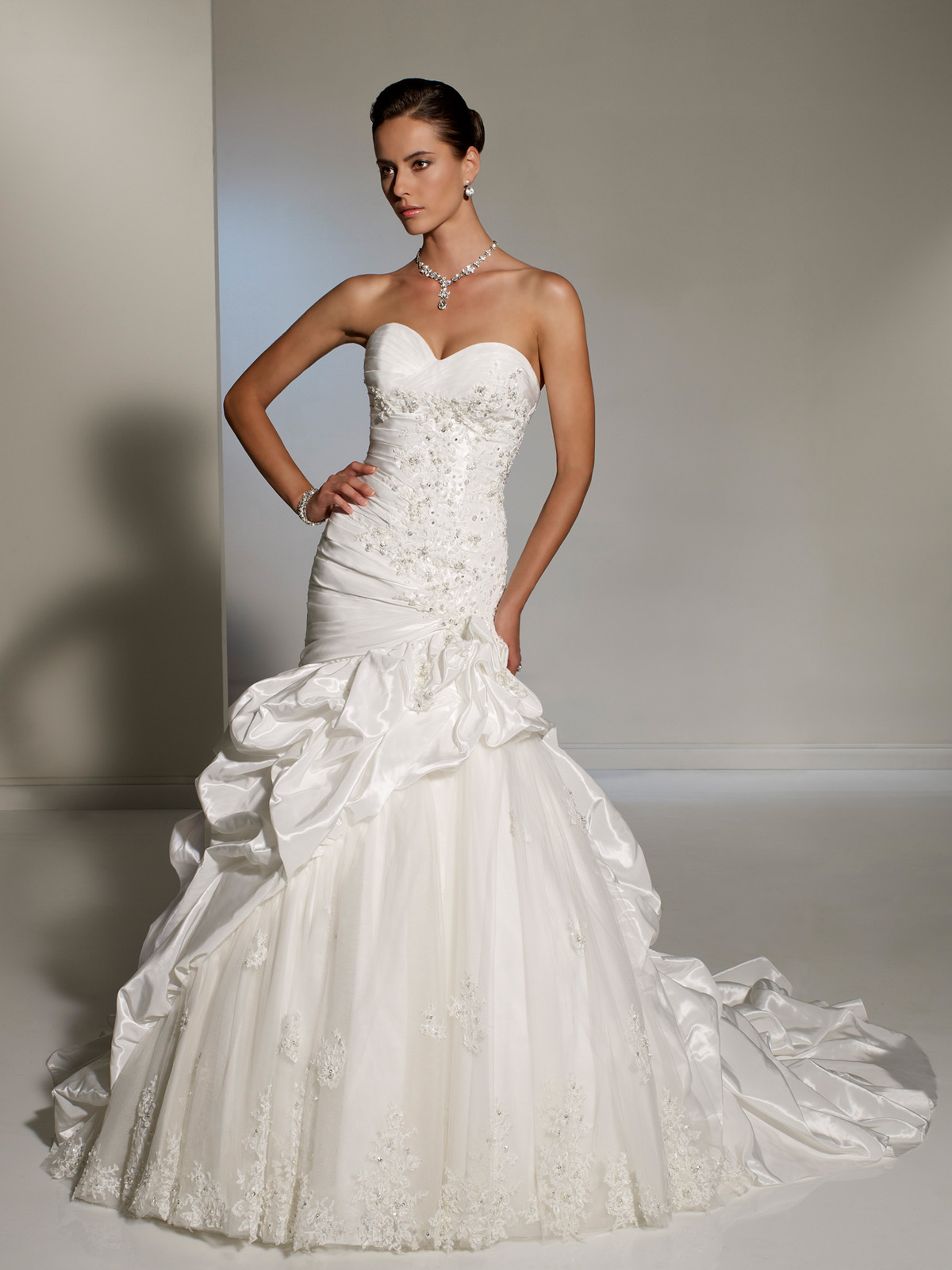 Wedding Litoon: Wedding Dress