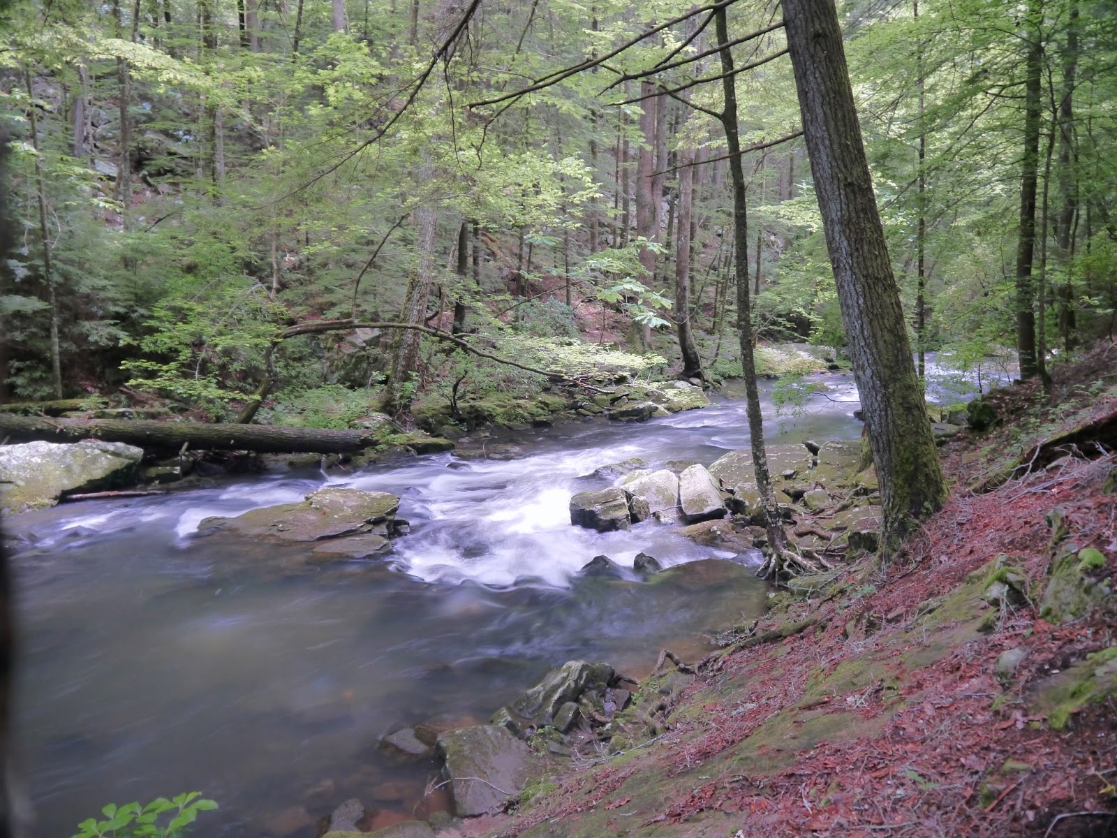 American Travel Journal: Climbers Loop Trail at Foster Falls - South ...