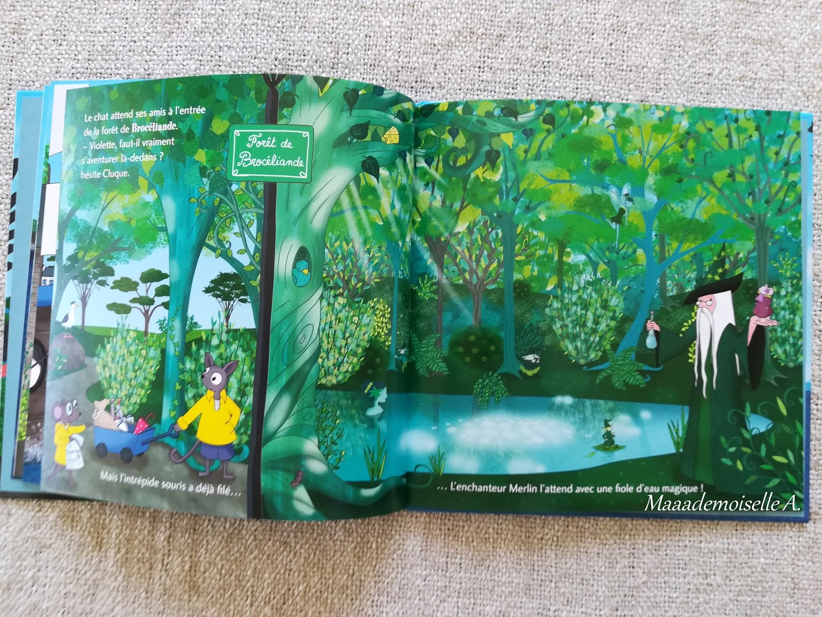 Maaademoiselle A.: || Une aventure de Violette Mirgue : Coup de coeur en Bretagne (Présentation ...