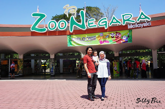 LIFESTYLE | FOOD | MAT KOOL Panda Is Here! - ♥ Sabby Prue : Malaysian ...