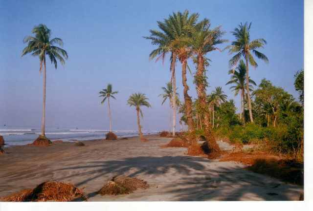 Turism Information: Kuakata