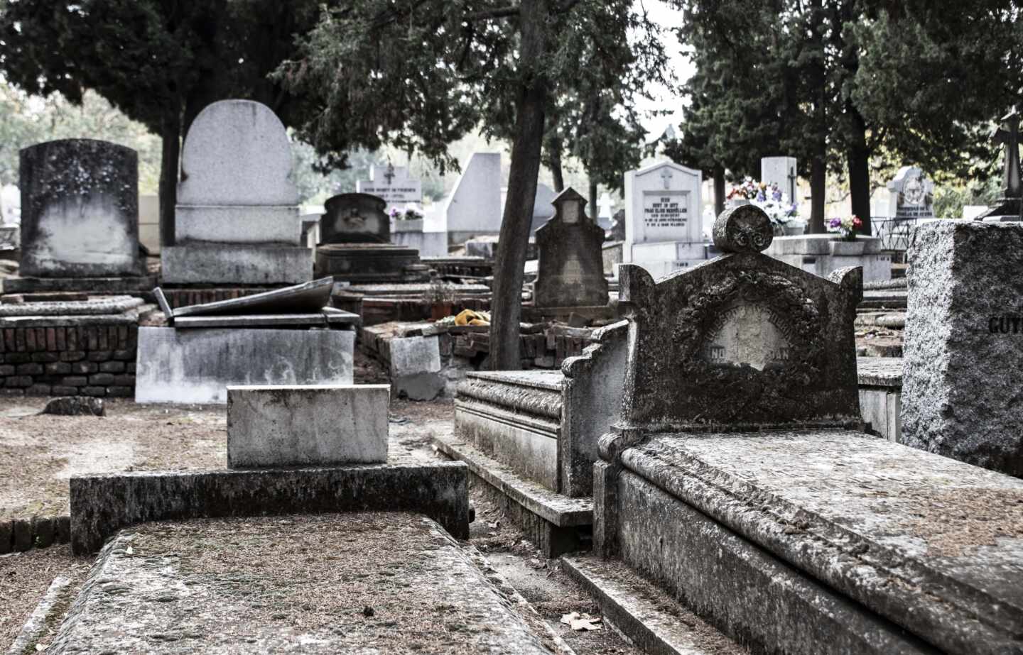 Reflexiones De Un Evangélico Muerte De Jacob