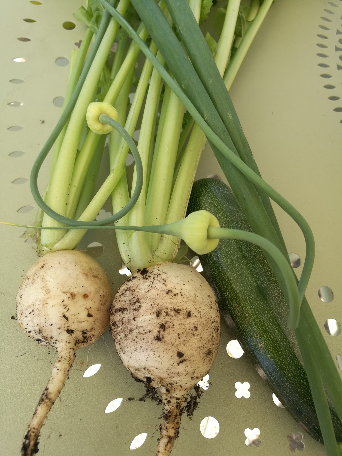 Mullassa maailman: Satoa ja silmänruokaa köökkitarhassa