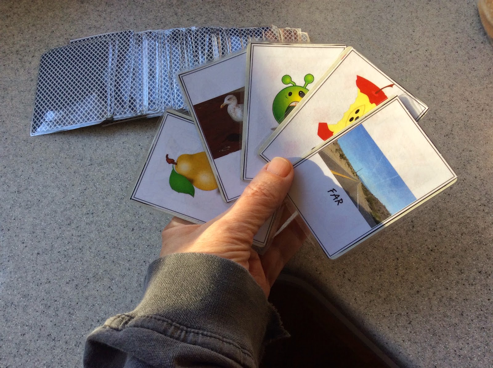 Chapel Hill Snippets: Go Fish! Card decks for articulation therapy