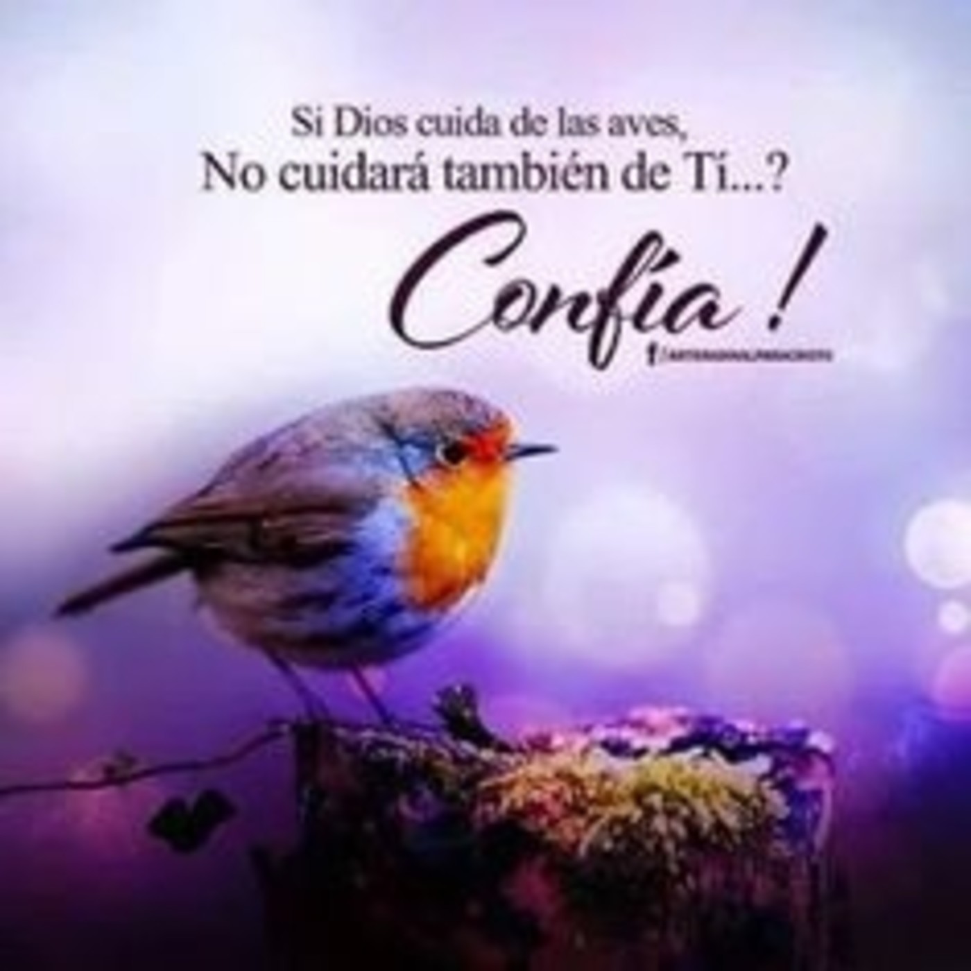 MIGAS de PAN en el camino: Si DIOS cuida de ti, ¿por qué vas a preocuparte? MIGAS de PAN en el camino: Si DIOS cuida de ti, ¿por qué vas a preocuparte?