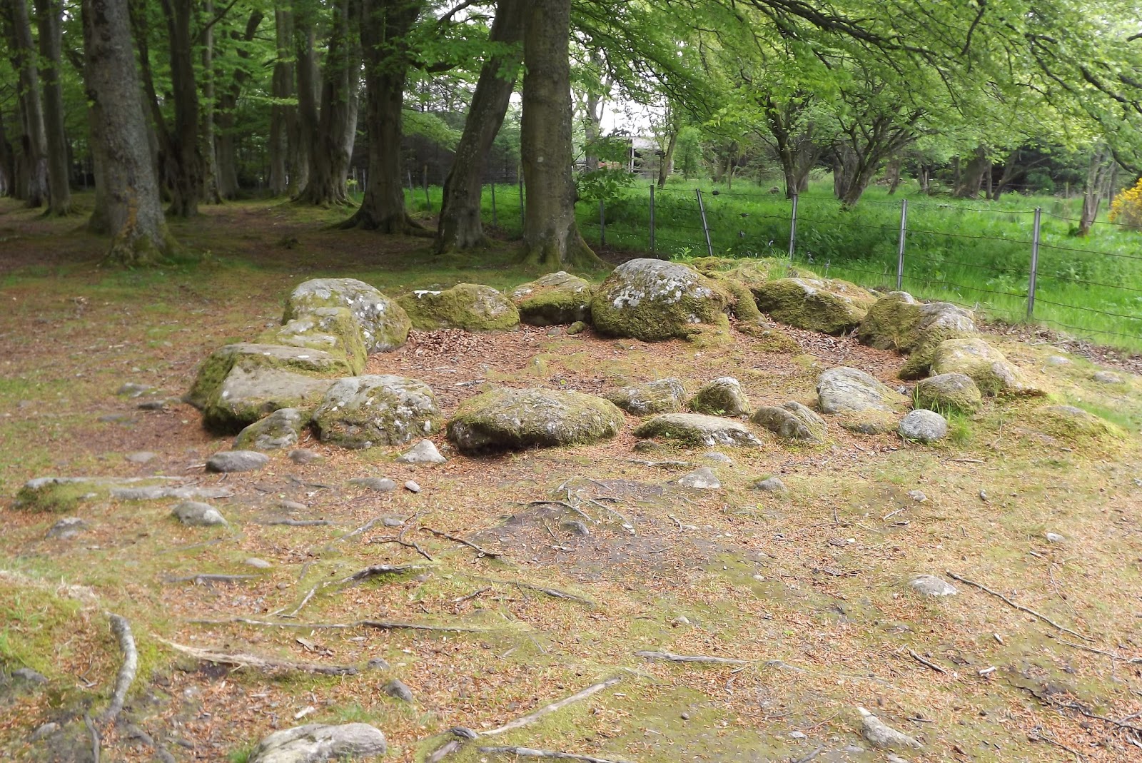 Genealogy Tours of Scotland: Tombstone Tuesday - Prehistoric Cairns