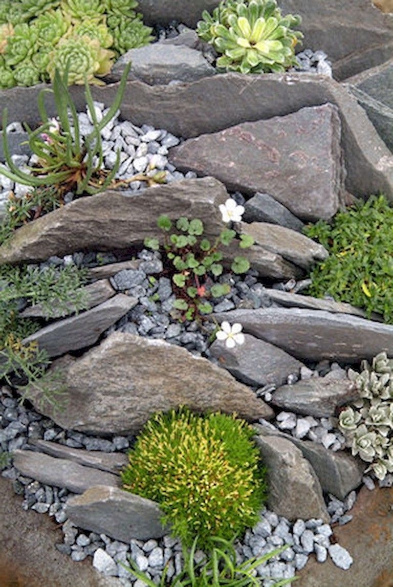 20+ #Best #Small #Rock #Gardens #Ideas #That #You #Will #Definitely # ...