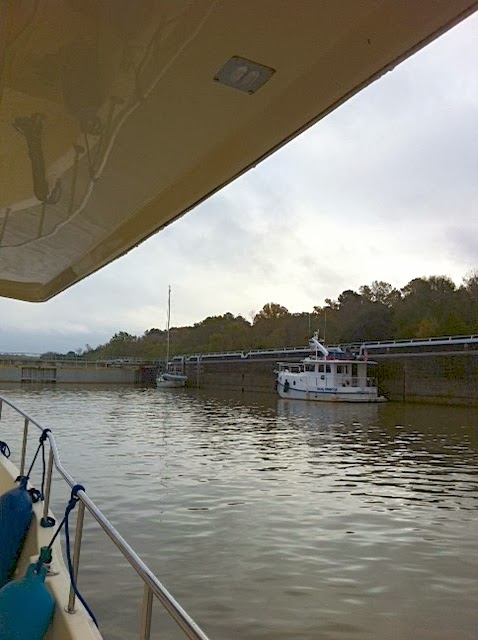 Once in a Blue Moon: Saturday, November 16: A Long Day to the Tensas ...