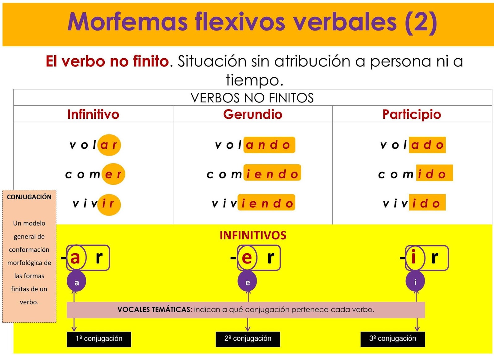 Por el camino de las palabras: FICHAS DEL CAPÍTULO 25. Morfología ...